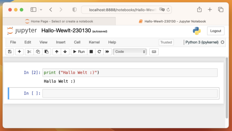 Mit Jupyter Notebook arbeiten